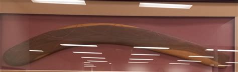 [reupload] Saw This Boomerang Hanging On A Wall In One Of My Places Of