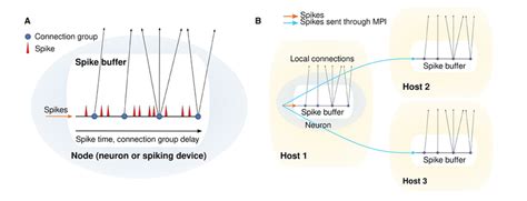 Spike Handling And Delivery Schemes A Structure Of A Single Spike