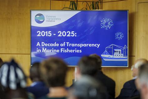 A Decade Of Transparency Fiti Celebrates Its 10 Year Anniversary