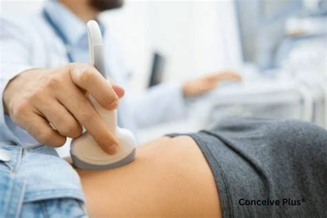 Mucus Plug Not Pregnant Something To Worry Conceive Plus®