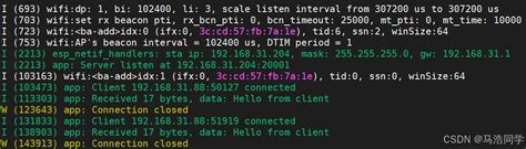 【esp32】esp Idf开发 Wifi开发 Tcp传输控制协议 Tcp服务器和客户端例程 网硕互联帮助中心