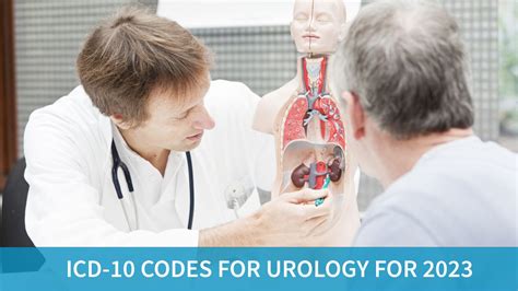 Icd 10 Codes For Urology For 2023
