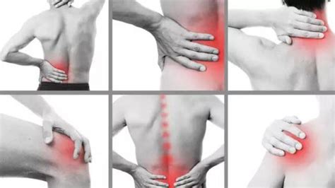 Therapy Massage 22 Photos Massage Therapy 235 Saint Joe Plaza Dr
