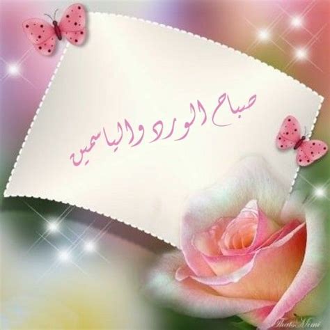 صباح الورد والياسمين لكل الغالين
