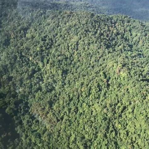 Video Ranitha Mendis Posted On Linkedin