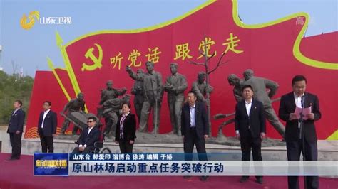 原山林场启动重点任务突破行动山东新闻联播山东卫视山东网络台齐鲁网