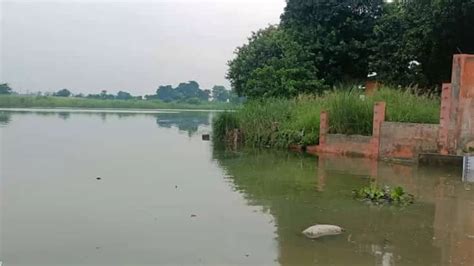 बिहार में बाढ़ गंगा और बूढ़ी गंडक का जलस्‍तर बढ़ा कोसी और बागमती