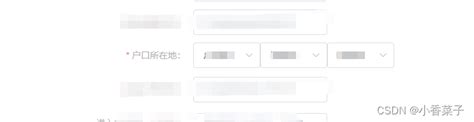 Vue El Form Item Prop El Form Rules Csdn