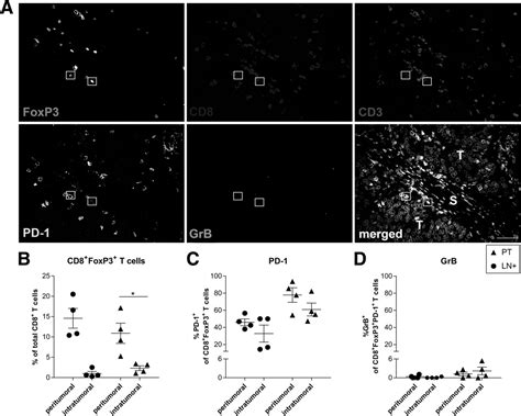 Efficacy Of Pd 1 Blockade In Cervical Cancer Is Related To A Cd8foxp3