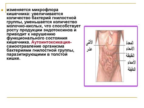Анатомо физиологические особенности лиц пожилого и старческого возраста