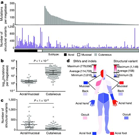 Mutation Burden A Rate Of Substitutionindel Snv Top And