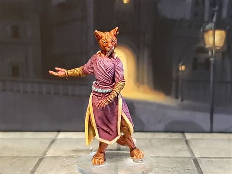 3d Printable Tabaxi Monk Amalya 28 32mm And 75mm By Dnd Is A Woman