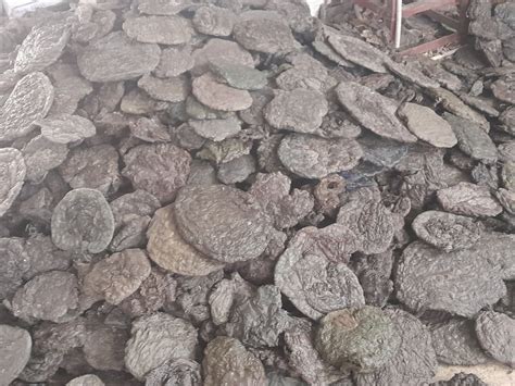 Pp Raffia Lumps 30 Kg At ₹ 30kg In Bengaluru Id 2851893580855