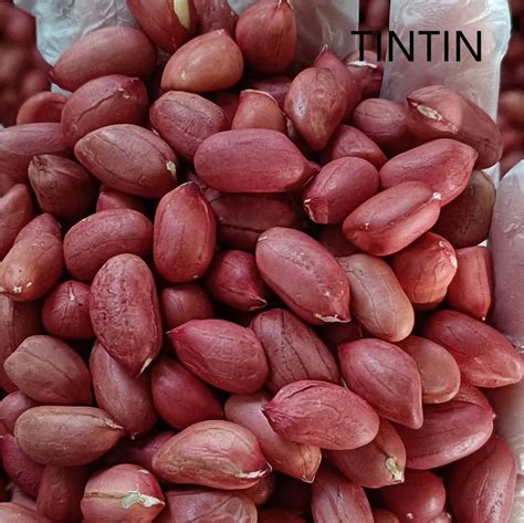 China Origin China Top Grade Peanut Kernels High Nutritious Bulk Dried Red Skin Peanut