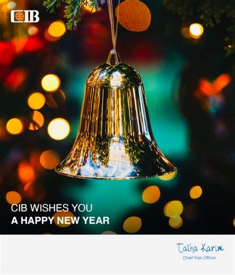 Talha S Karim Gaicd Qrd® On Linkedin Happy Holidays Wishing You And