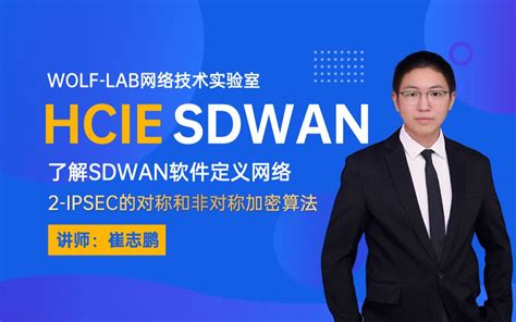 Hcie Sdwan Ipsec Bilibili B Yiuios