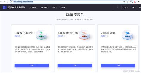 【总结】对接达梦数据库dm8详细教程