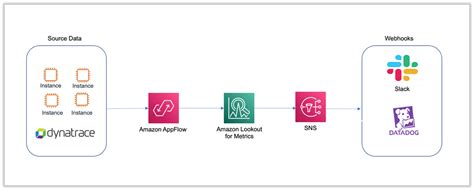Dynatrace Metrics Ingest Evolving Solutions