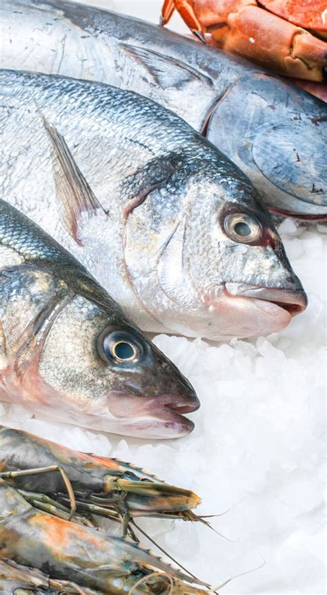 Oxidate 2 Biosafe Fungicide Peroxides Chemigation