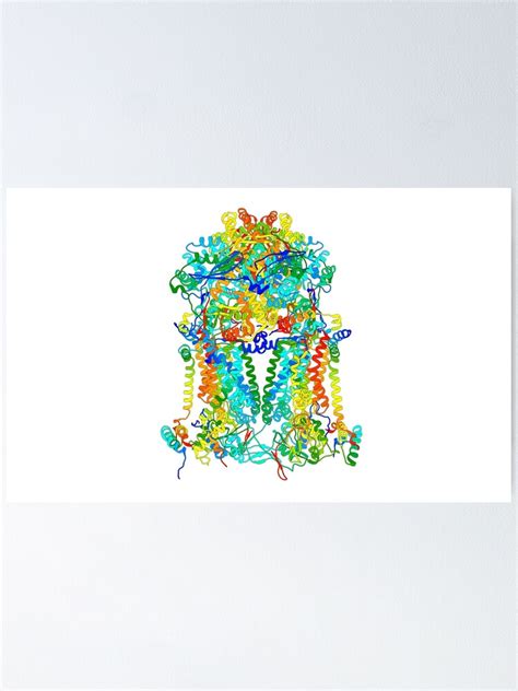 Cytochrome Bc1 Complex Poster By 3d Biology Redbubble