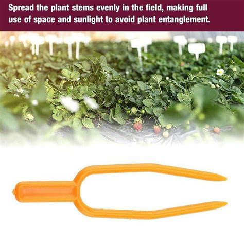 Up To 60 Off Globalvista 50pcs Plant Stem Stolon Fixator 50mm65mm Garden Strawberry Planting
