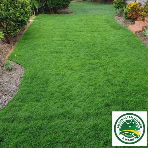 Couch Grass Lawn
