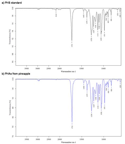 Ftir Spectra Of A Poly 3 Hydroxybutyrate Phb Standard And B Phas