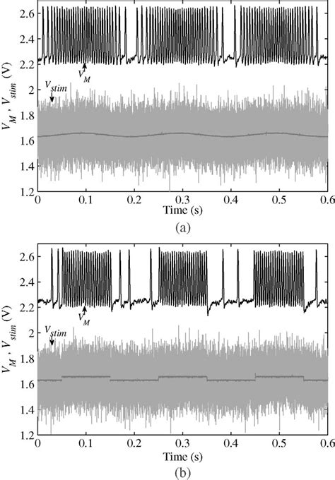 Responses V M Of A Stochastic Fs Neuron With V N 800 Mv Pp Download Scientific Diagram