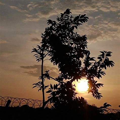 5 Hydroxyethanoic Acid Youtube