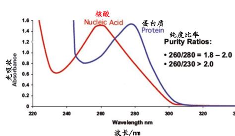 【431】蛋白质和核酸的紫外吸收（uv） Sam Note