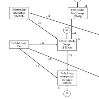 Path Analysis For Women Download Scientific Diagram