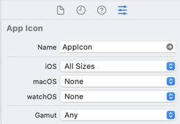 Xcode 14 Single Size App Icon