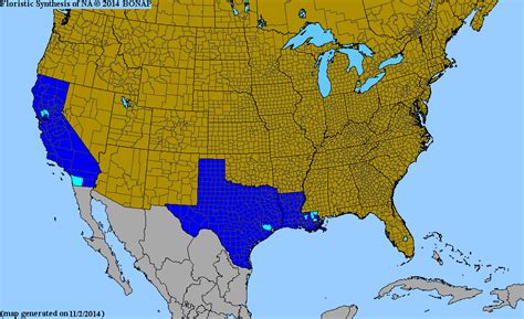 2013 Bonap North American Plant Atlas Taxonmaps