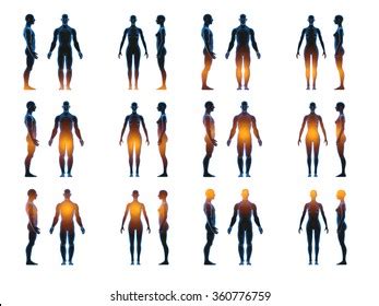 412 Naked Body Scan Images Stock Photos 3D Objects Vectors Shutterstock