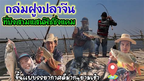 ตกปลาจีนที่บึงสามแสนฟิชชิ่งแชมป์บรรยากาศยามเช้าดีมากๆครับ Youtube