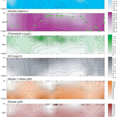 Vertical Profiles Of Temperature Salinity Density Chlorophyll