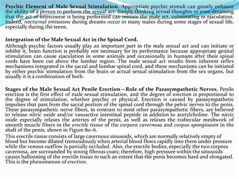 Reproductive And Hormonal Functions Of The Male And Function Of The Pineal Gland Dr Noori M