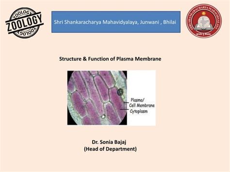 Plasma Membrane Ppt