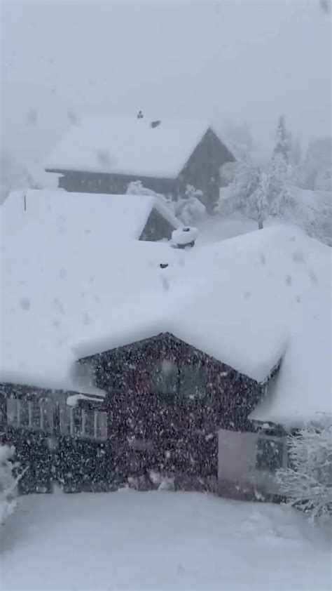 დასაწყისი არ მაფიქრებს ზამთრის… ️ ️💖💖 დასაწყისი არ მაფიქრებს ზამთრის