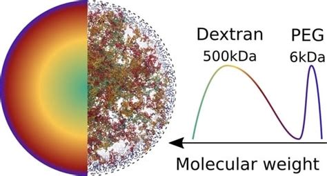 Confinement Induced Fractionation And Liquidliquid Phase Separation Of