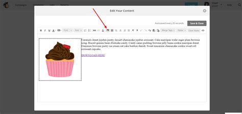 How To Add An Opt In To Mailchimp