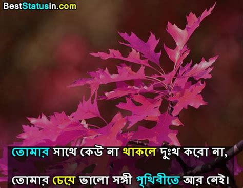 350 Best Whatsapp Status In Bengali হোয়াটসঅ্যাপ স্ট্যাটাস বাংলা