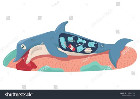 Marine Life Killing Over 476 Royalty Free Licensable Stock Vectors