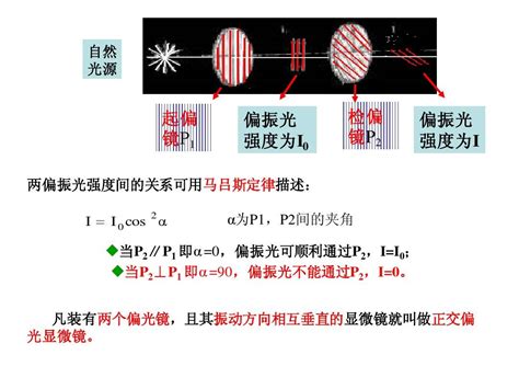用偏光显微镜 Pom 观察聚合物结晶形态测试过程 360文档中心