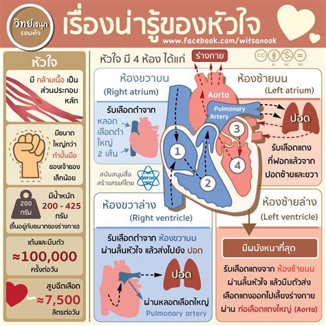 วิทย์สนุกรอบตัว มาเรียนรู้เรื่องราวต่างๆรอบตัวเรา ในมุมมองของ