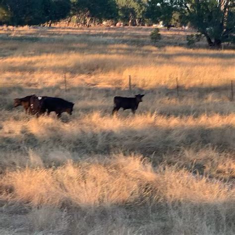 Jamie Ramage On Linkedin Twitterforagribusiness Instagramforagribusiness