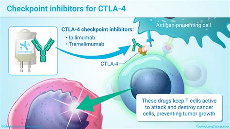 Slide Show Understanding Immunotherapy For Nsclc With Pd 1 And Pd L1