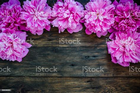 나무 배경에 분홍색 모란 꽃꽃 프레임입니다 선택적 초점 텍스트 장소 상단 보기 0명에 대한 스톡 사진 및 기타 이미지 0명