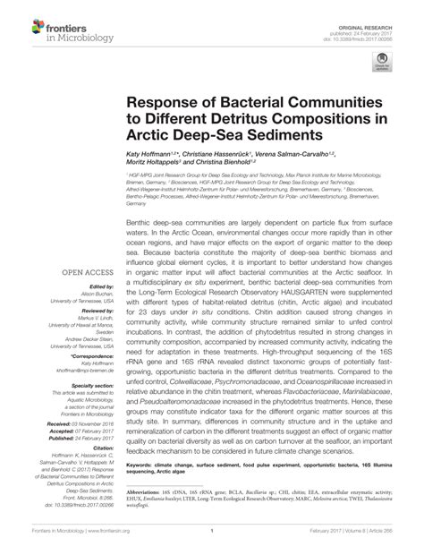 Pdf Response Of Bacterial Communities To Different Detritus