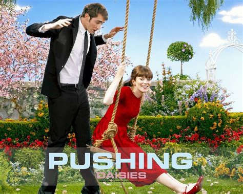 Das Kaminzimmer Tv Serie Pushing Daisies